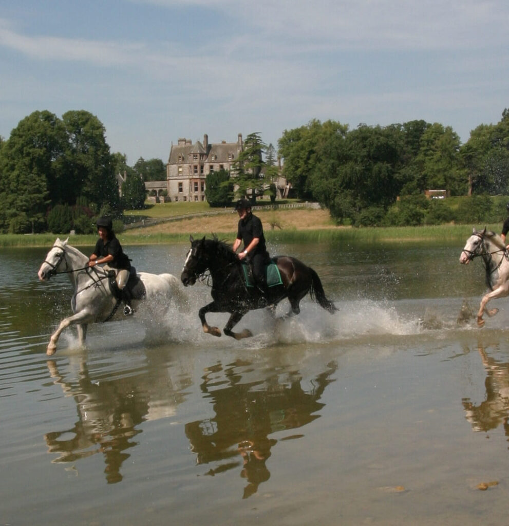 Equestrian Breaks | Horse Riding Monaghan | Castle Leslie Estate