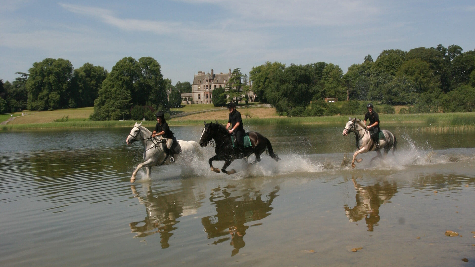 Equestrian Video | Equestrian Centre Castle Leslie Estate