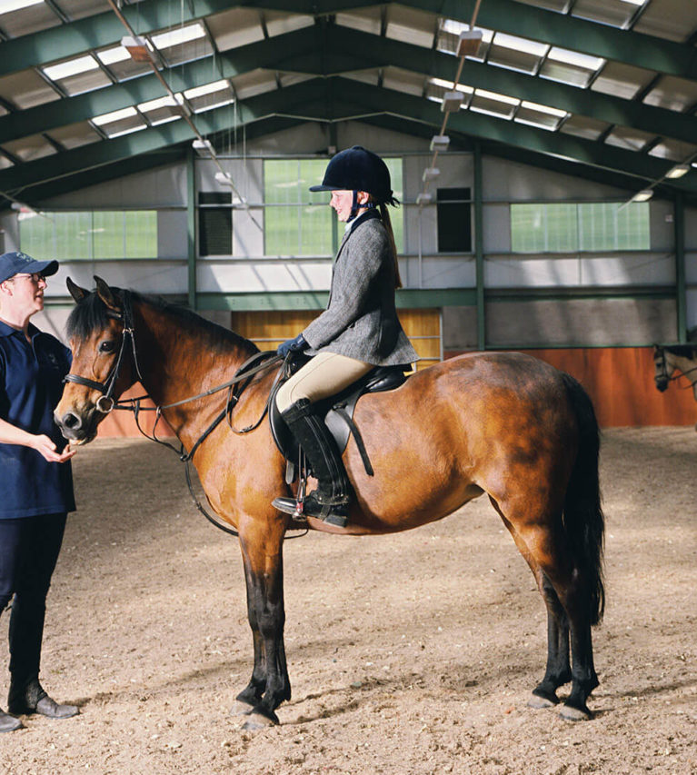 Castle Leslie Equestrian Centre | World Class Equestrian