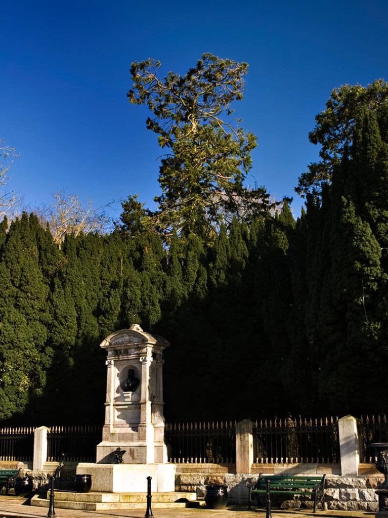 Activity Itineraries | Things To Do | Castle Leslie Estate
