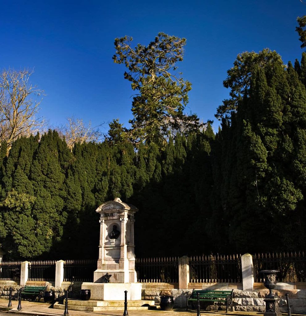 Activity Itineraries | Things To Do | Castle Leslie Estate