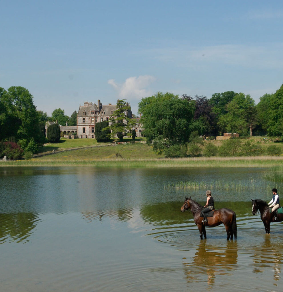 Castle Leslie Equestrian Centre | World Class Equestrian
