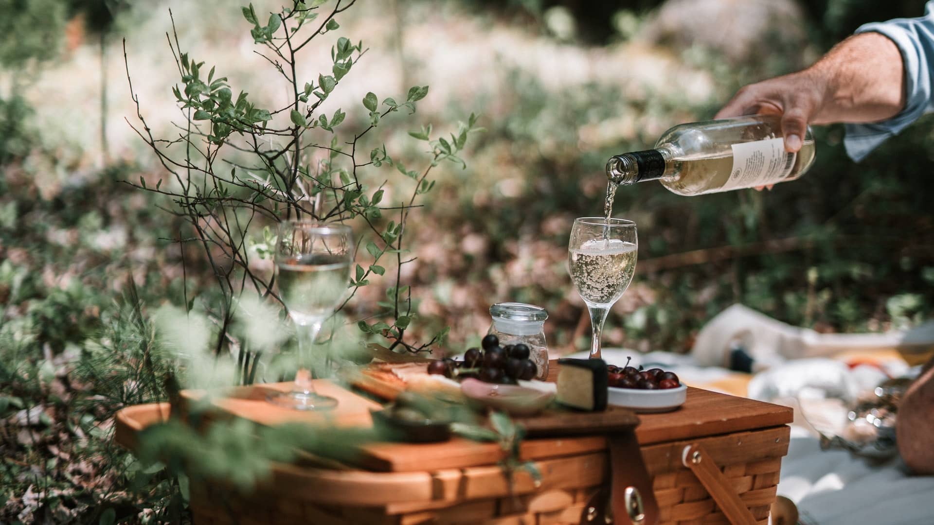 Pursuits Gallery | Activities To Do | Castle Leslie Estate