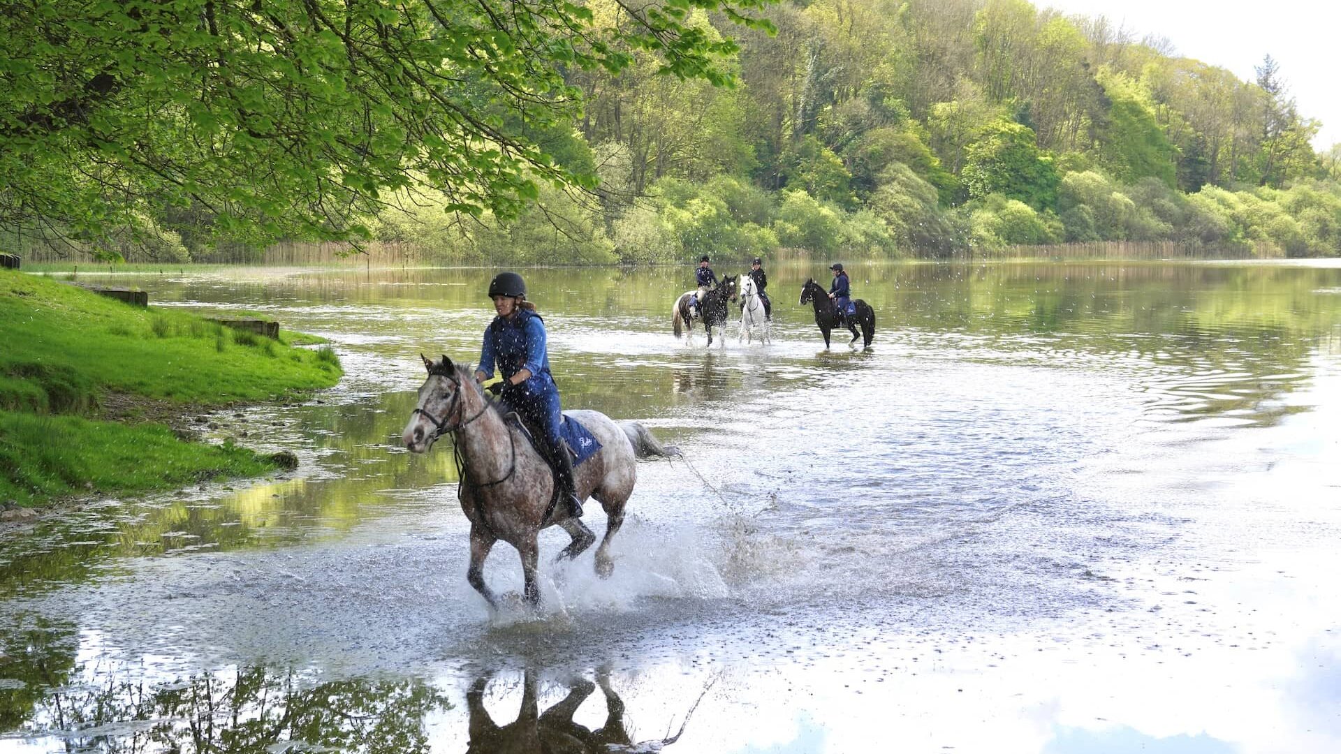 Equestrian Breaks | Horse Riding Monaghan | Castle Leslie Estate