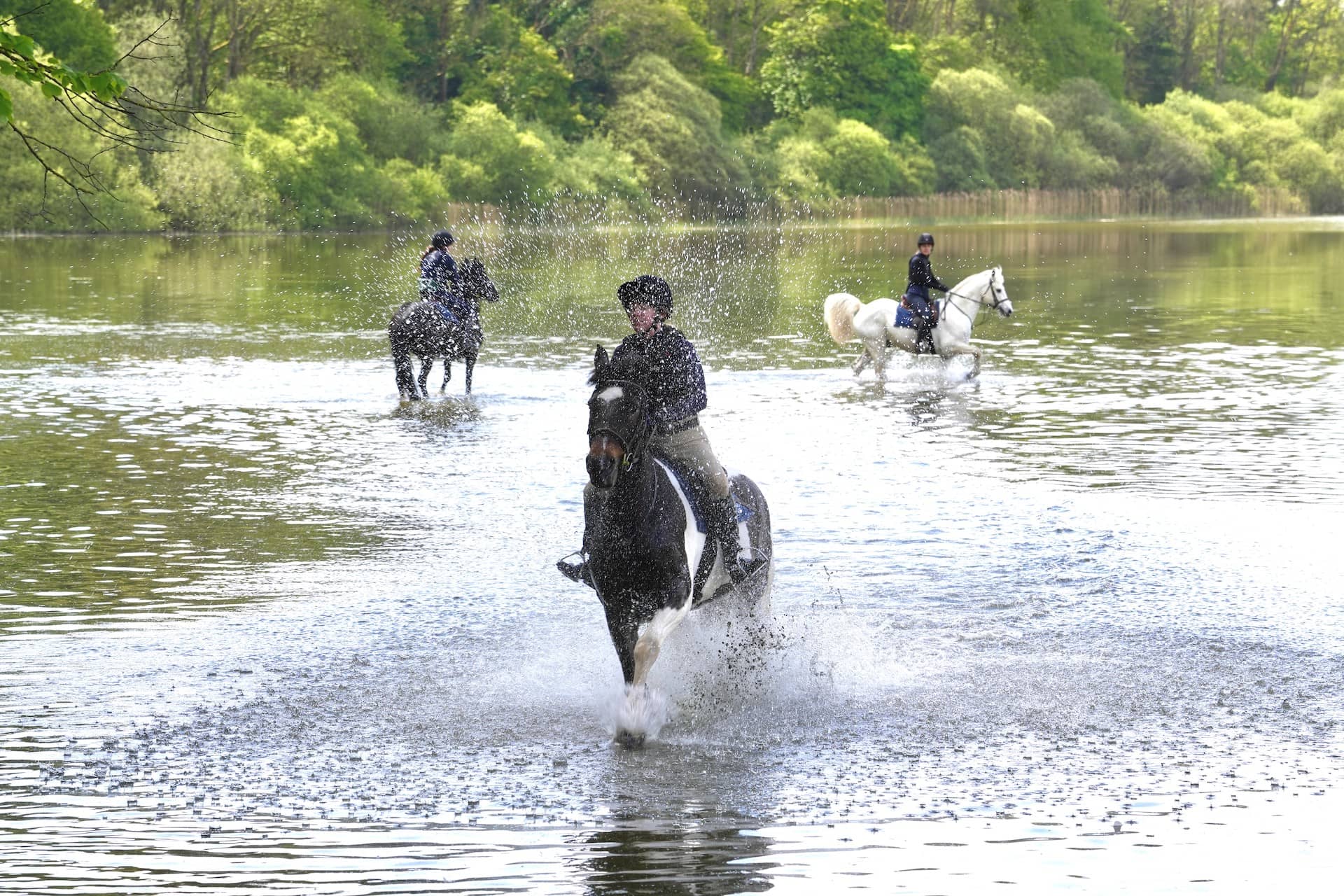 Guest Riding Fees | Horse Riding Monaghan | Castle Leslie