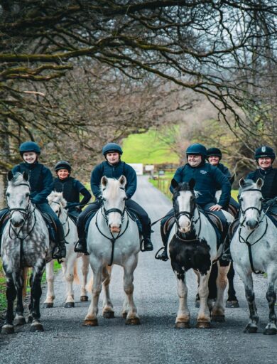Castle Leslie Equestrian Centre | World Class Equestrian